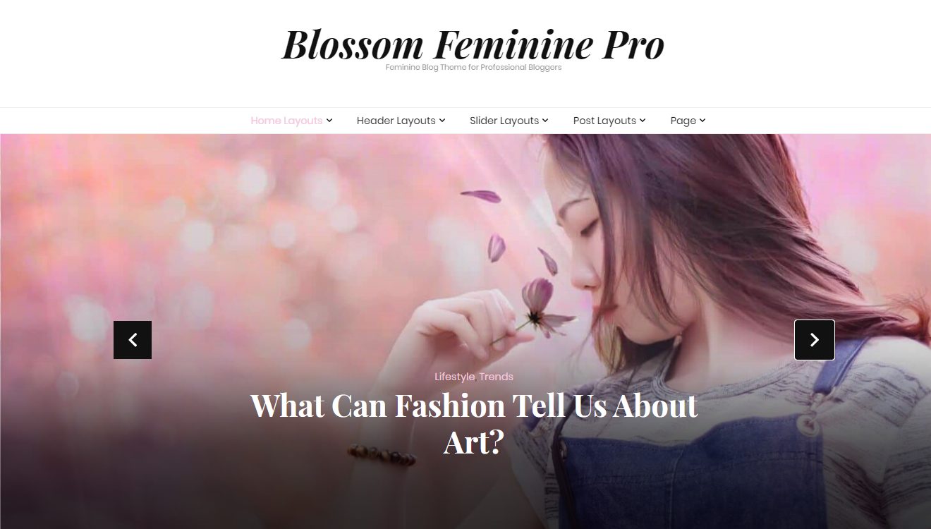 5+ Best Feminine WordPress Themes for female oriented websites
