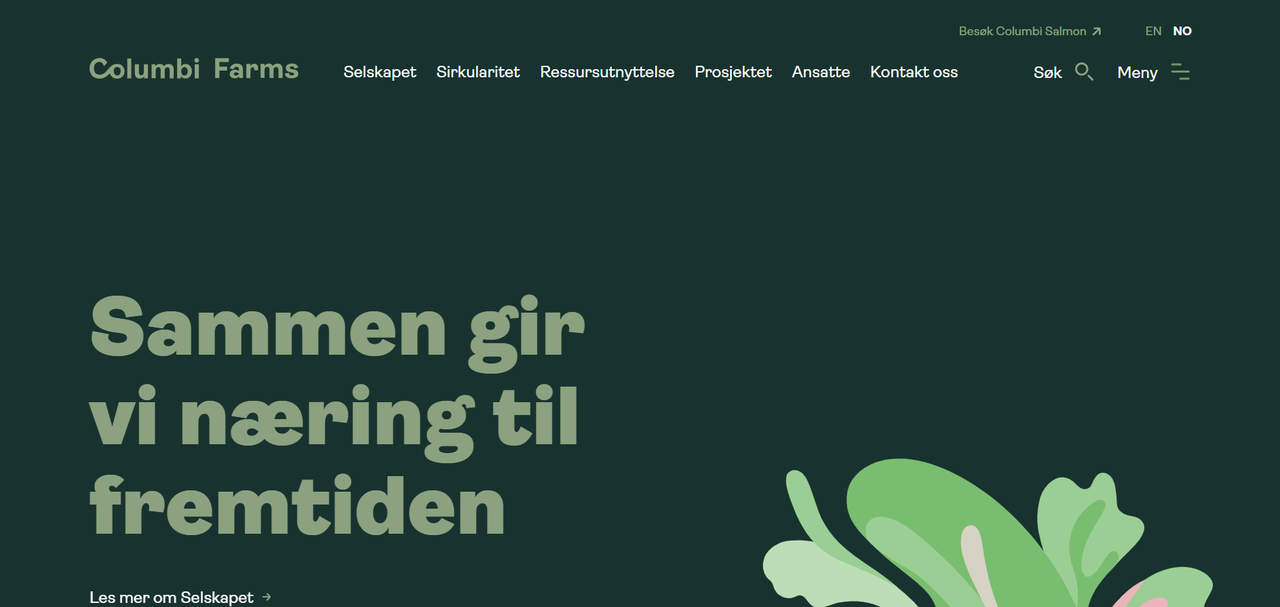 15+ Stunning Shopify Color Schemes to Transform Your Store