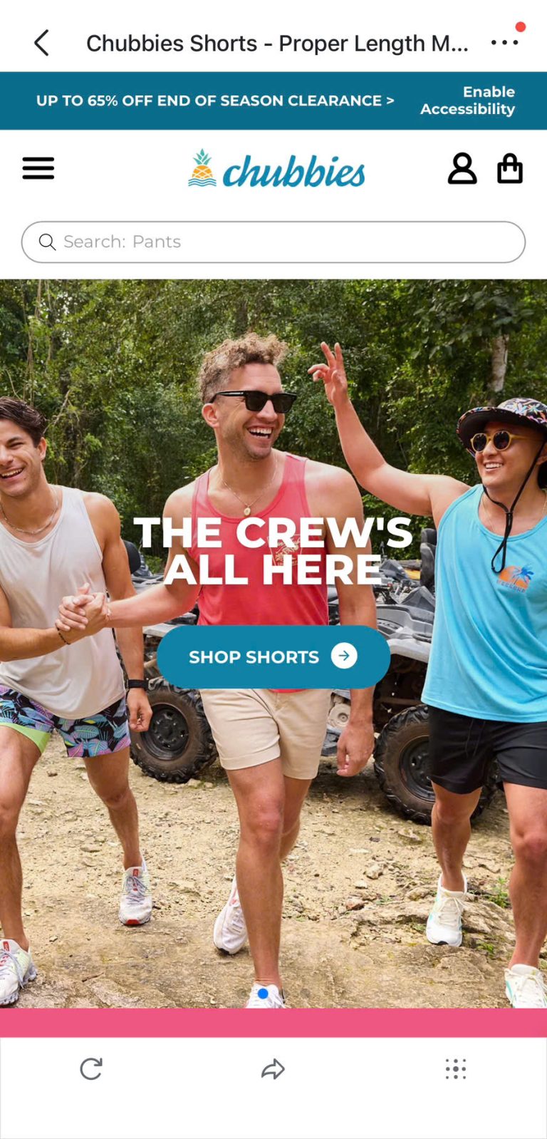 Shopify Mobile Website Design: 20 Stunning Examples to Inspire You